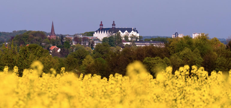 Fotomotive im Frühling: Tulpen, Raps, Gänseblümchen und Mohn – Fotoschule