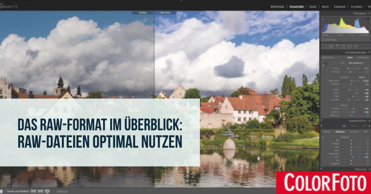 Das RAW-Format im Überblick: RAW-Dateien speichern und organisieren ...